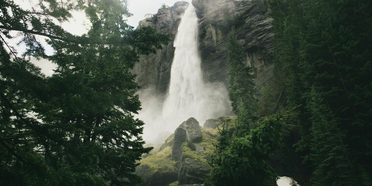 Join the Earth Day Photo Contest 2024 and win Camera and Tree Planting ...